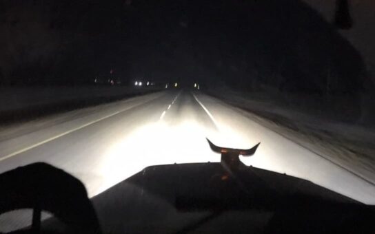 Driver Pro 9R – 9″ Round Driving Light Kit – NightRider LEDS ...